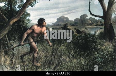 Piltdown Man, as imagined by Illustrated London News special artist ...