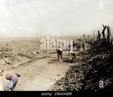 British soldiers clearing a road through a battlefield on the Western ...