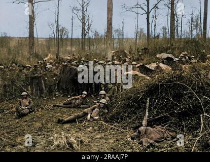 The Territorial Army London Regiment on exercise at Wretham Camp ...