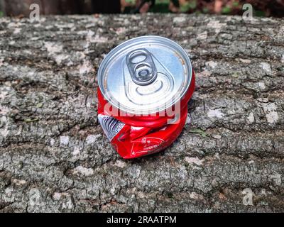 Crushed aluminum can from carbonated drink. Food packaging waste ...