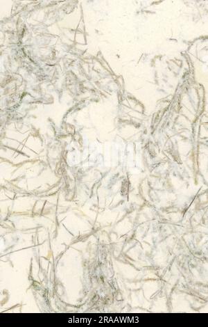 Handmade paper with grass and moss parts Stock Photo - Alamy