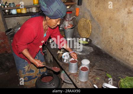 A woman prepares Tongba aka Nepali Beer from fermented millet in a ...