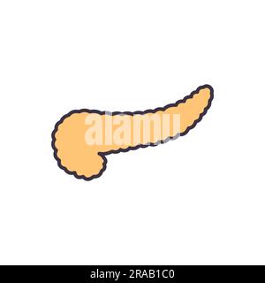 Pancreas Related Vector Line Icon. Isolated on White Background ...