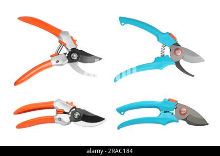 Collage with different color secateurs on white background. Gardening tool Stock Photo - Alamy