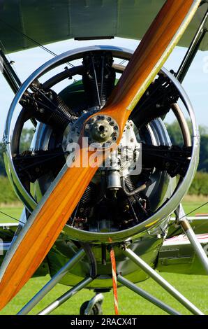 Avro 621 Tutor G-AHSA / K3215 of the Shuttleworth Trust from old Warden ...