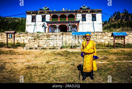 A wandering lama Stock Photo - Alamy
