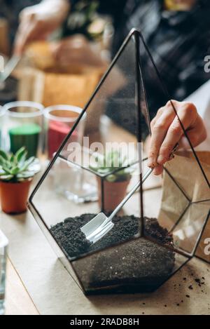 diy florarium plants growing hobby succulents Stock Photo - Alamy