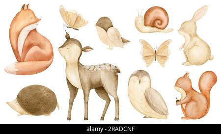 Woodland animals set. Owl, hedgehog, fox and butterfly, Bunny rabbit ...