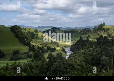 The bucolic green countryside near Piriaka Lookout overlooking the ...