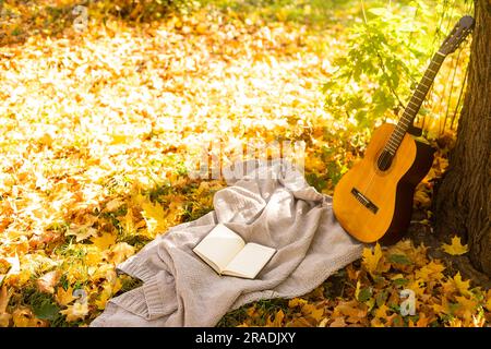Guitar leaned on a tree in the fall surrounded by yellow leaves Stock ...