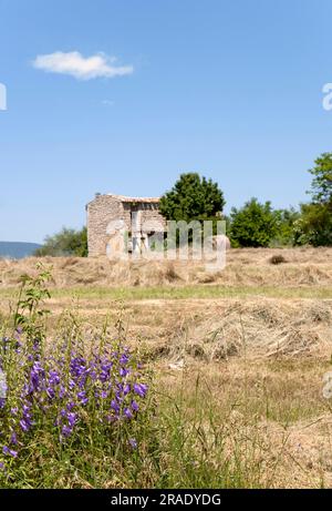 Old barn in Provence Stock Photo - Alamy
