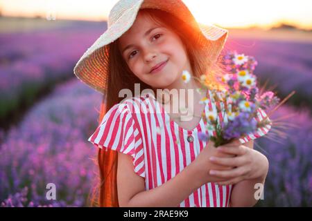 Blooming lavender fields in Bulgaria Stock Photo - Alamy