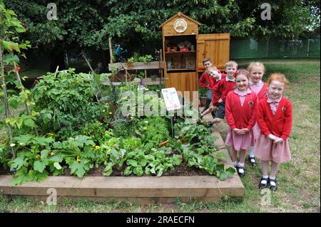 Allotment Gardens at Hampton Court Palace Flower Festival Stock Photo ...