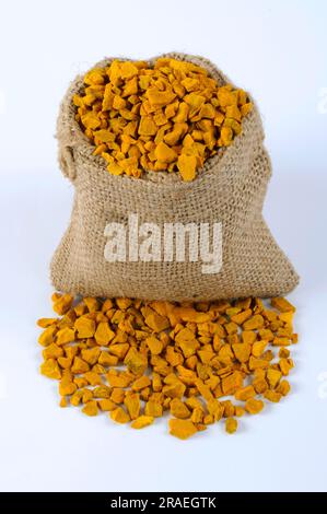 Curcuma rhizome (Rhizoma Curcumae Longae), turmeric, Babylonian saffron ...