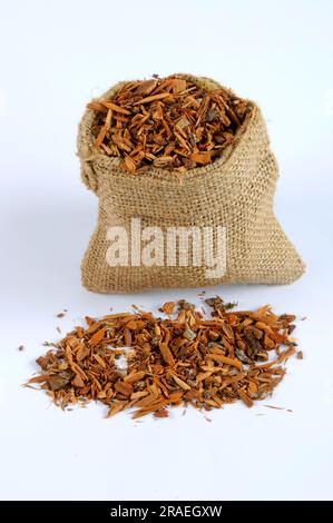 Chinese bark (Cortex chinae), dried bark of (Cinchona pubescens ...