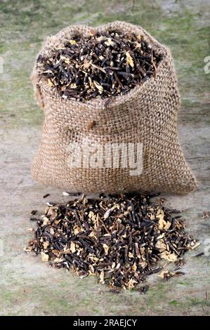 Chinese Clematis (Clematidis Radix), Wei Ling Xian Stock Photo - Alamy