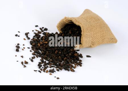 Ningpo brown root (Scrophulariae Radix), Xuan Shen, cut out, object ...