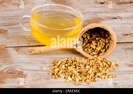 Cup of Angelica pubescens root tea (Angelicae pubescentis Radix ...