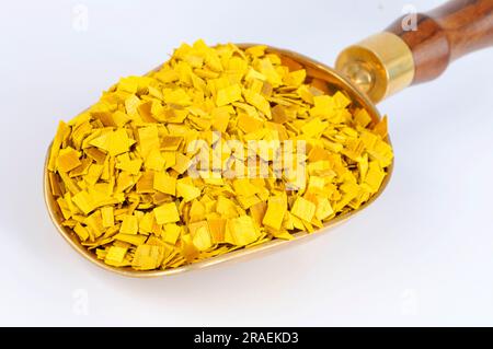 Amur cork tree bark (Cortex Phellodendri), Huang Bo, Huang Bai Stock ...