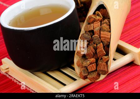 Cup of redroot sage root tea (Salviae miltiorrhizae Radix), Dan Shen ...