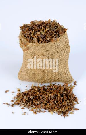 (Prunellae Spica), Xia Ku Cao, Brownellae ears, Brownellae ears Stock ...