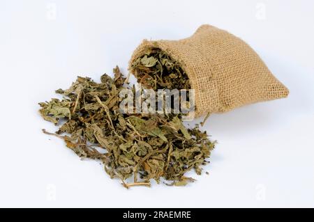 Chinese field mint, dried leaves (Menthae Folia), Bo He Stock Photo - Alamy