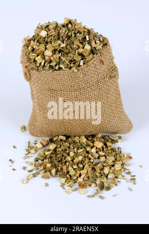 Chinese motherwort, dried (Leonuri Herba), Yi Mu Cao, free-standing ...