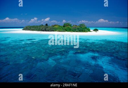Tropical Island, Coral Island, Meemu Atoll, Maldives Stock Photo - Alamy