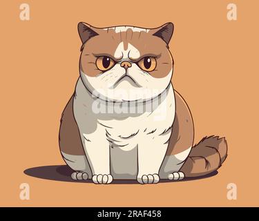 An Angry british shorthair cat vector illustration Stock Vector Image ...