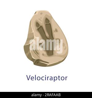 Velociraptor dinosaur footprint fossil, archeology stone. Prehistoric ...