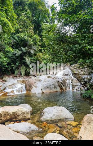 rainforest jungle landscape with waterfall at Gunung Gading National ...