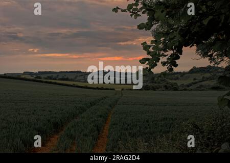 Circuit of Bath sunset walk Stock Photo - Alamy