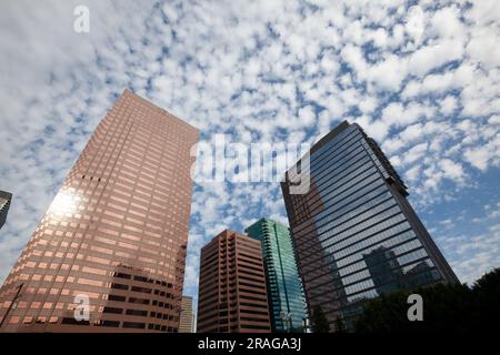 Alina luxury residential tower, part of the Apex Complex in Downtown ...