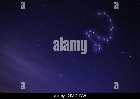 Draco (Dragon) constellation. Stick figure pattern in starry night sky ...