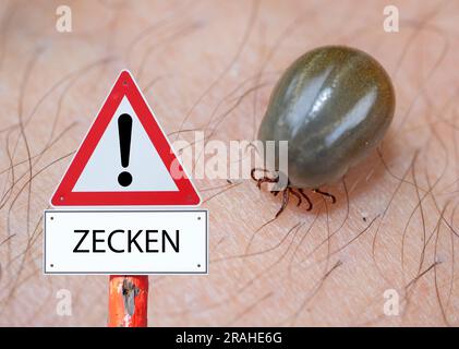 Warning sign ticks with a bloody tick Stock Photo - Alamy