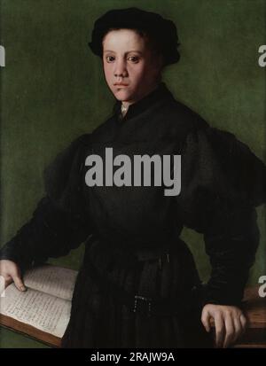 Portrait of Lorenzo Lenzi, Agnolo Bronzino, circa 1527-30, Municipal ...