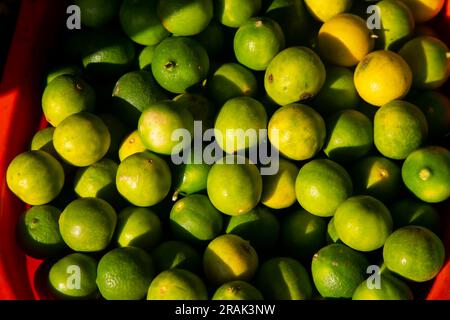 Variety of Peruvian lemons from the Peruvian jungle area in a market in ...