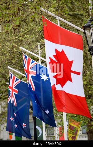 New Zealand and United Kingdom flag waving in the wind against white ...