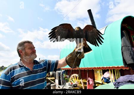 Romany traveller with one of his Harris Hawks used for hunting for food ...