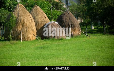 Piles of hay in a farmland in Romania Stock Photo - Alamy