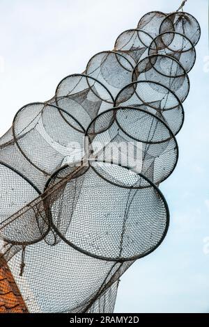 hanging fish trawl or fish trap with hoops to catch fish Stock Photo ...