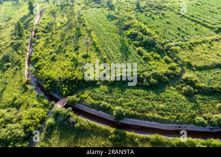 ANYANG, CHINA - JULY 4, 2023 - Yuejin Canal flows through the farmland ...