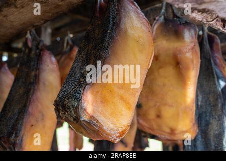 Fermented shark (Hakarl) hanging to dry in Iceland Stock Photo - Alamy
