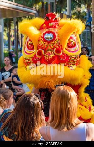 A Chinese Dragon dance moving through a crowd during Lunar (Chinese ...