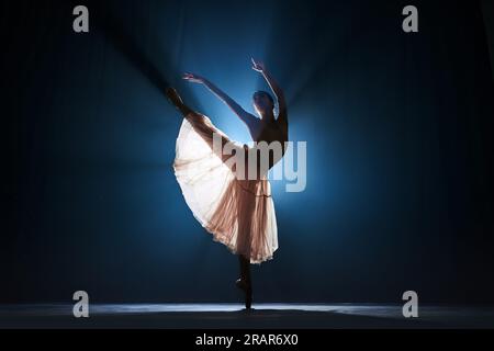 Elegant, tender, slim, talented girl, female ballet dancing dancing ...