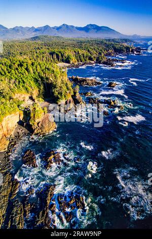 Aerial image of the Pacific Rim area Vancouver Island, BC, Canada Stock ...