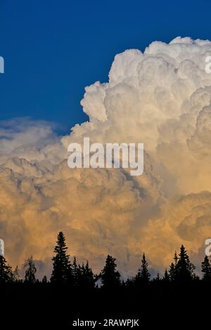 Cumulonimbus, thundercloud against blue sky, Germany Stock Photo - Alamy
