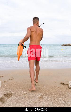 Vertical photo of the rear view of a lifeguard team working with ...