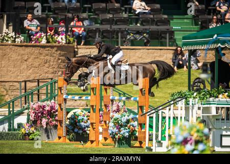 Riders compete in the Rolex Pan American Grand Prix at Spruce Meadows ...