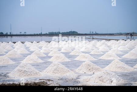 Sea salt farm in Thailand. Brine salt. Raw material of salt industrial ...